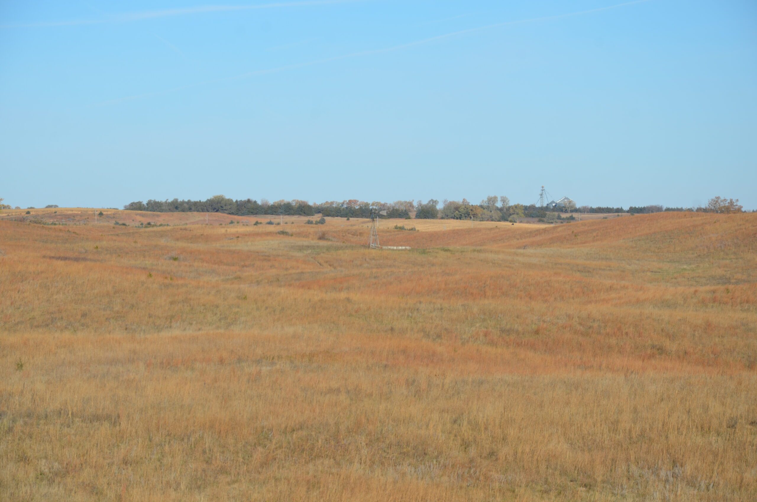 Absolute Land Auction 160+/- Acres Of Sandhills Pasture In Wheeler ...